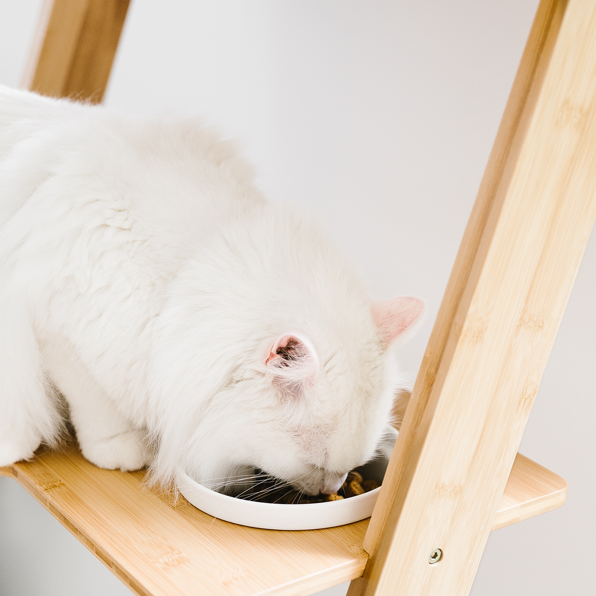 Ladder cat tree with scratcher – BeOneBreed