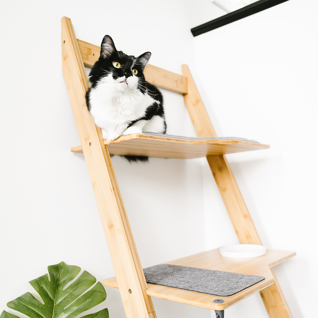 Ladder cat tree with scratcher – BeOneBreed