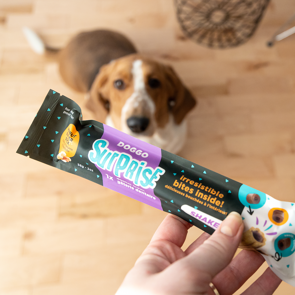 Wow Doggo dental treats for dogs | Order online now – BeOneBreed