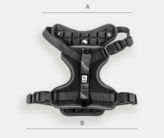 Paracord dog harness – BeOneBreed