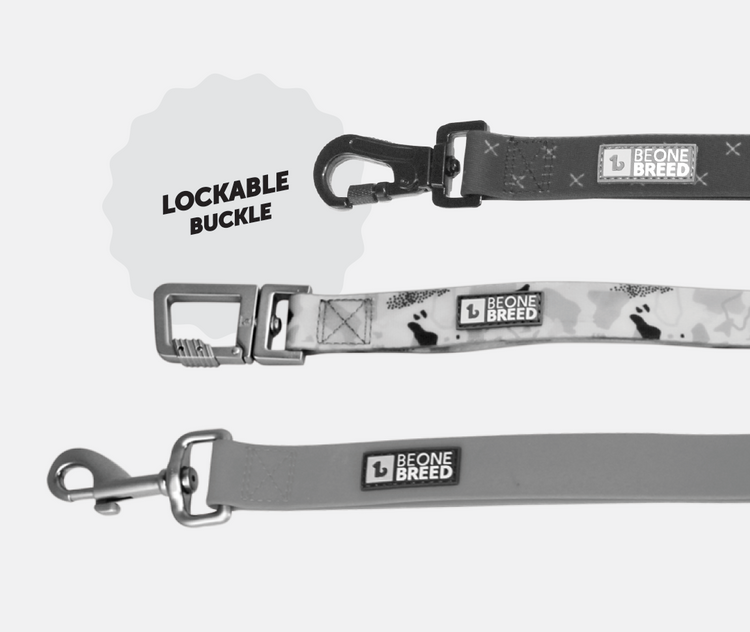 Multifunction silicone dog leash – BeOneBreed