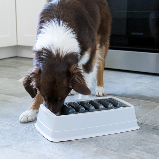 Interactive sliding feeder for cat and dog – BeOneBreed