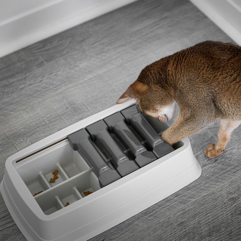 Interactive sliding feeder for cat and dog – BeOneBreed
