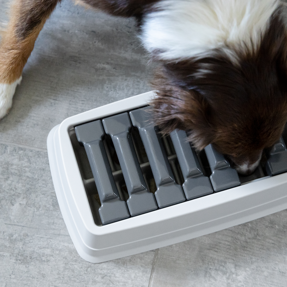 Interactive sliding feeder for cat and dog – BeOneBreed