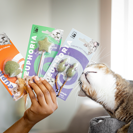 Euphoria toy - Matatabi – BeOneBreed