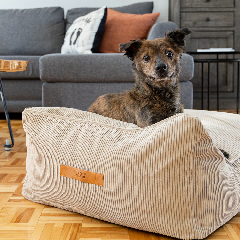 Thick memory foam therapet dog bed, 2 sizes – BeOneBreed